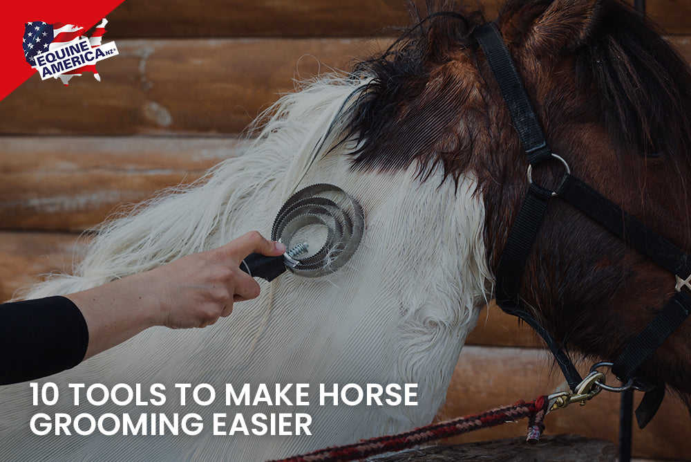 10 Essential Tools for Easier, More Effective Horse Grooming – Equine ...