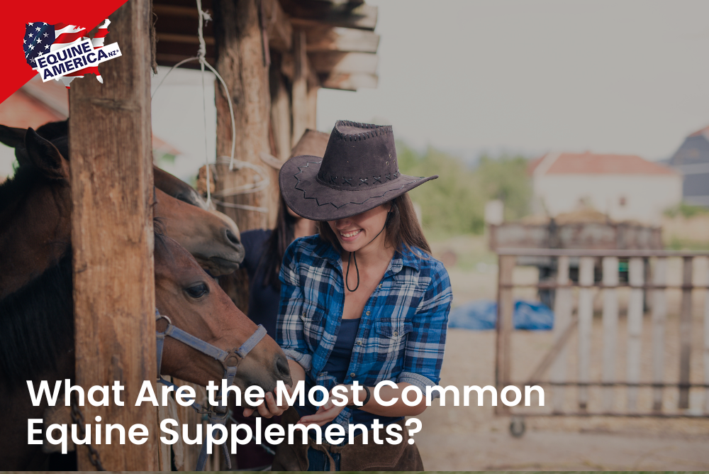 Common Equine Supplements – Equine America NZ