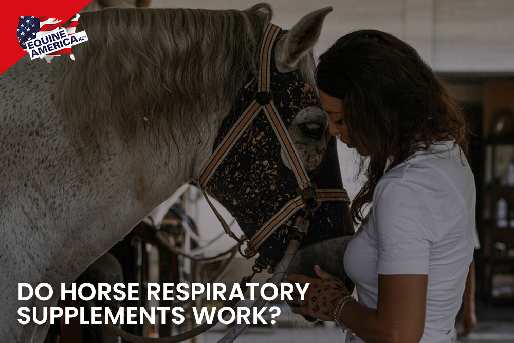 Horse Respiratory Supplements: Efficacy and Safety Explained – Equine ...