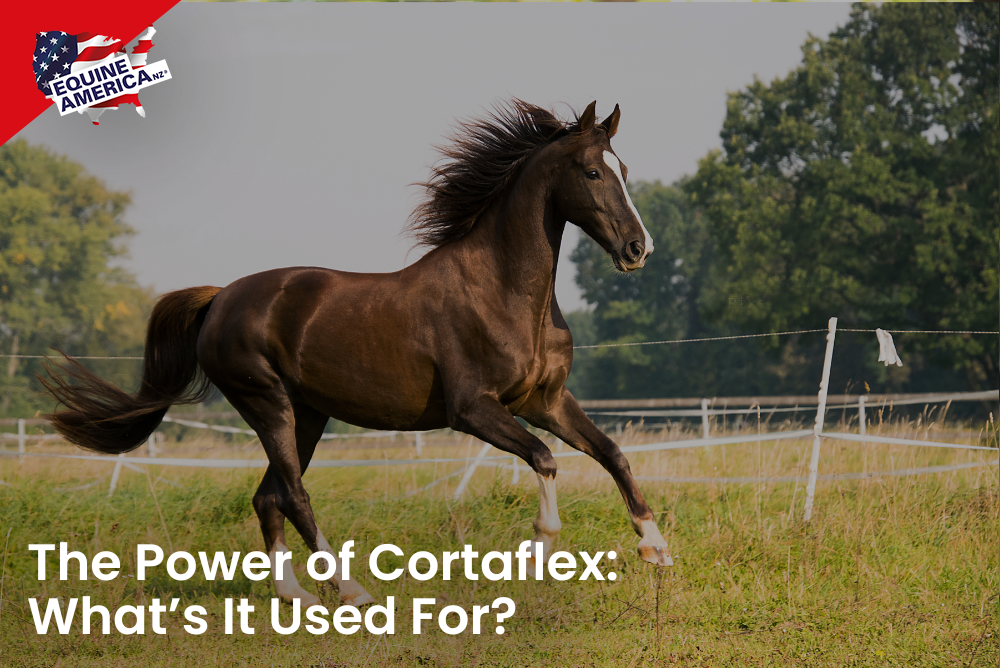 What is Cortaflex and how does it work? – Equine America NZ