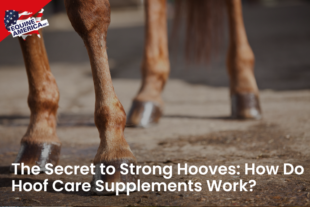 How Do Hoof Care Supplements Work? Boost Hoof Health Now – Equine ...