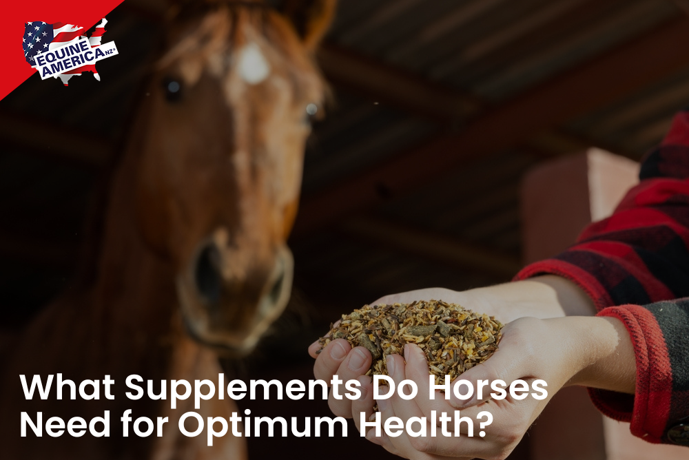Horse Supplements for Optimum Health | Boost Equine Well-being – Equine ...